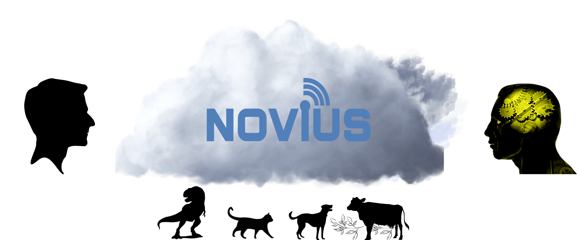 株式会社NOVIUS